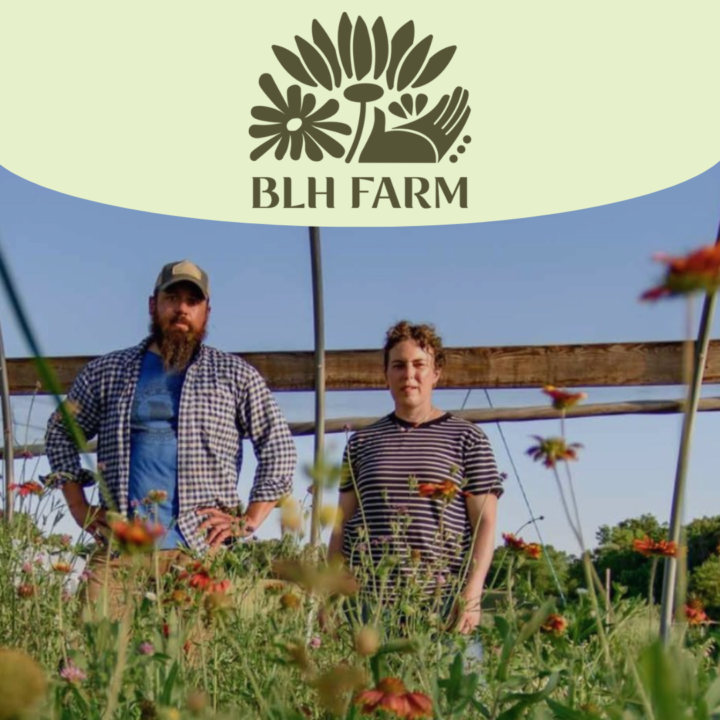 BLH Farm - Known & Grown STL