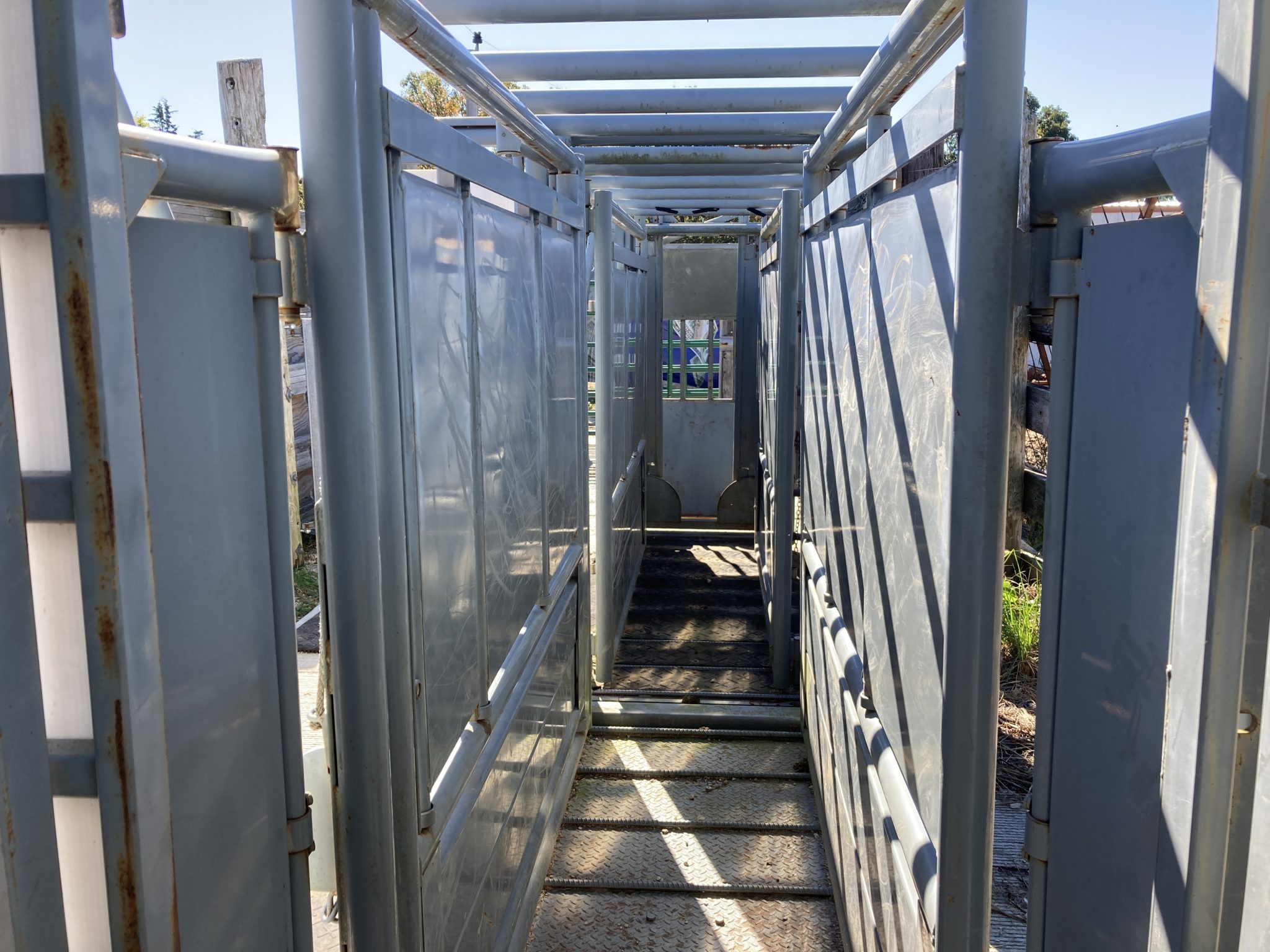 Klondike Bison and Bee - Known & Grown STL