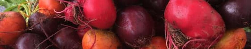 Local Food Locator - Known & Grown STL