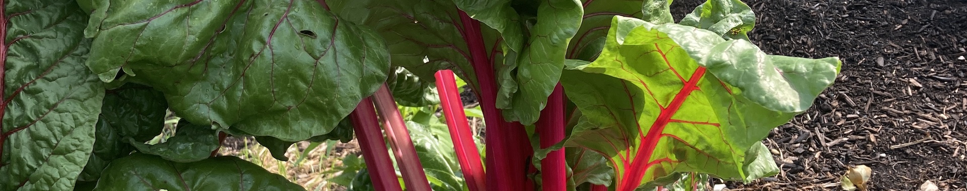 A.C.R.E.S. - Known & Grown STL