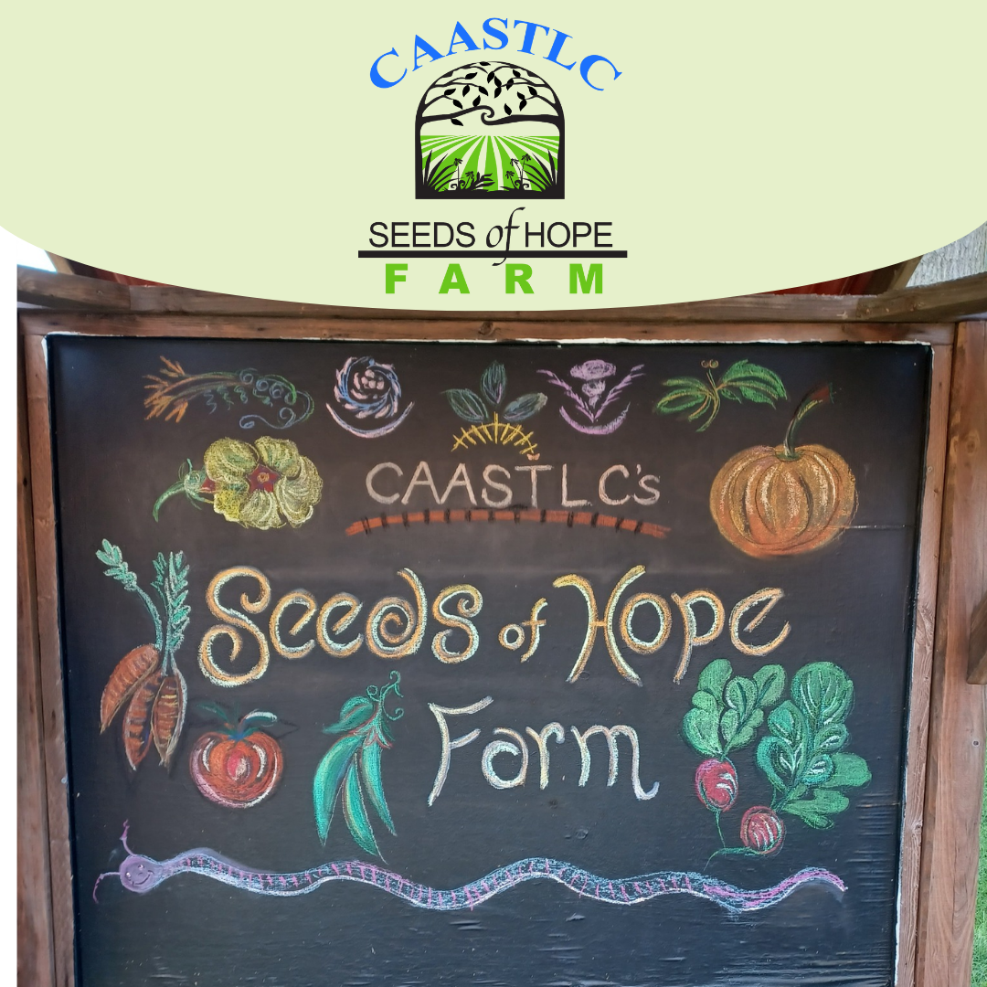 Seeds of Hope - Known & Grown STL